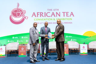 Silverback Tea – Gisovu | Rugabano | Pfunda